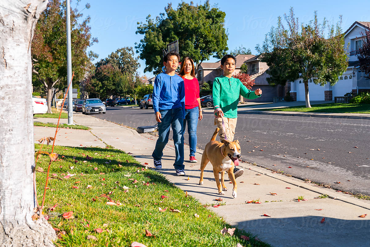 "Family Walk Dog Neighborhood" by Stocksy Contributor "Christine La ...