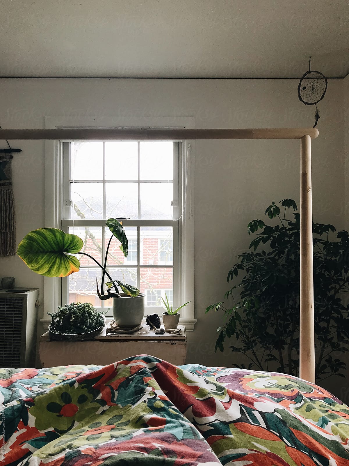 "The View Of A Window From A Bed" by Stocksy Contributor "Briana ...