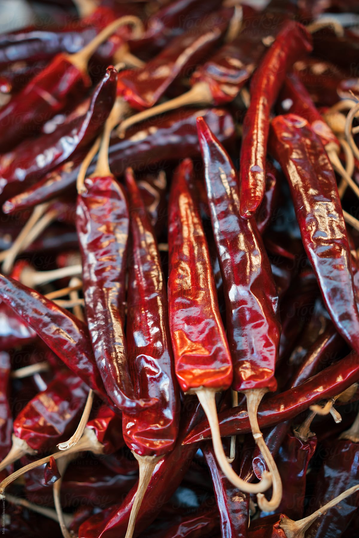 "Red Chili" by Stocksy Contributor "Rein Cheng" - Stocksy