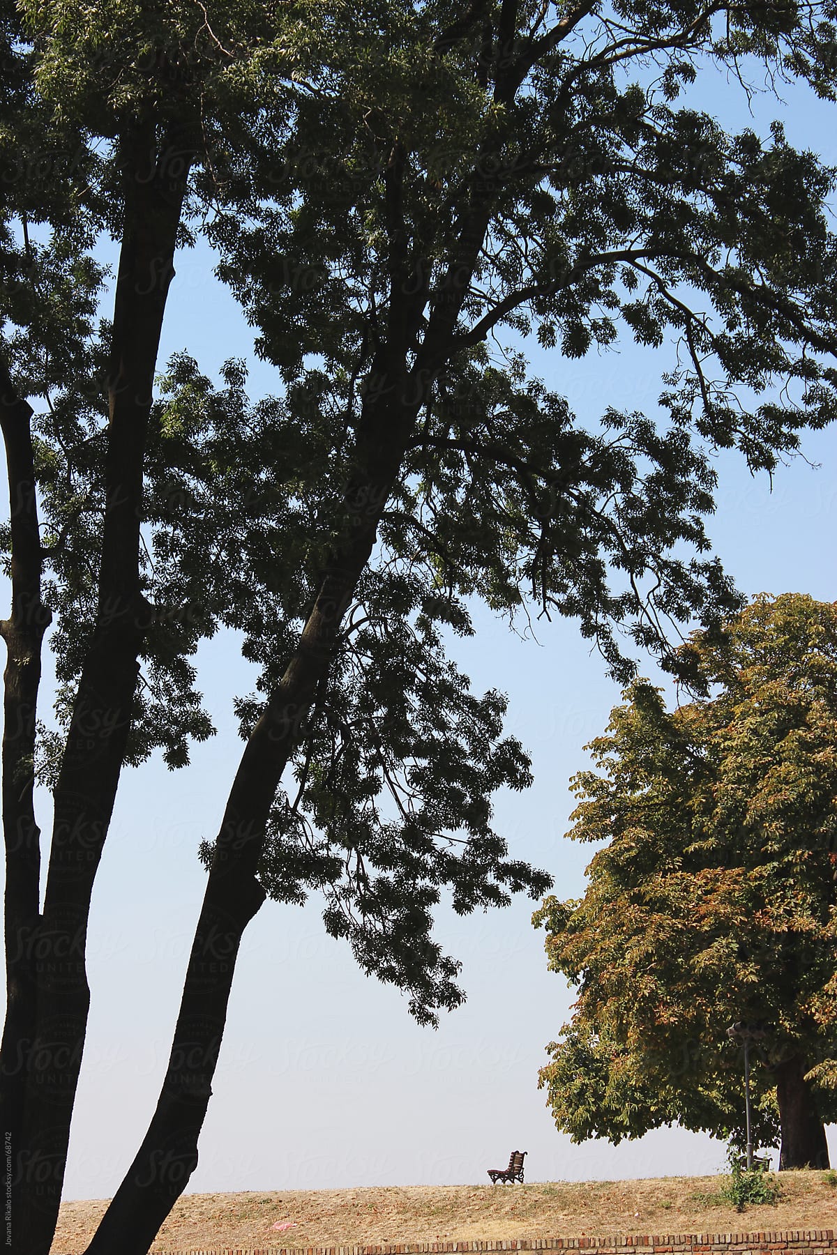 "Bench View From A Distance" by Stocksy Contributor "Jovana Rikalo ...