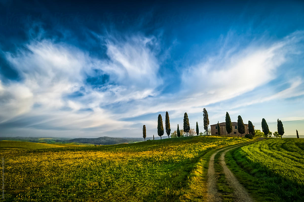 "Traditional Farm With Path And Cypresses In Tuscany" by Stocksy ...