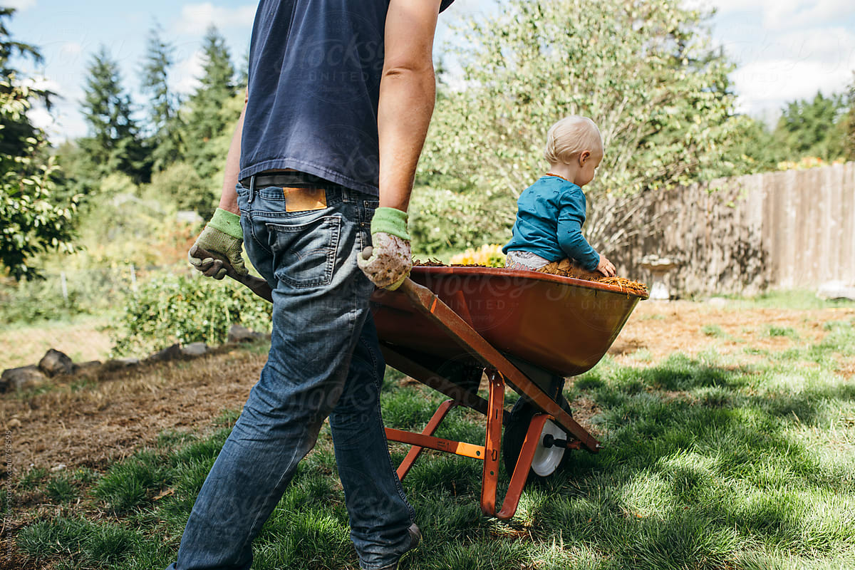 "Toddler Boy Being Pushed By His Dad In A Wheelbarrow" by Stocksy ...