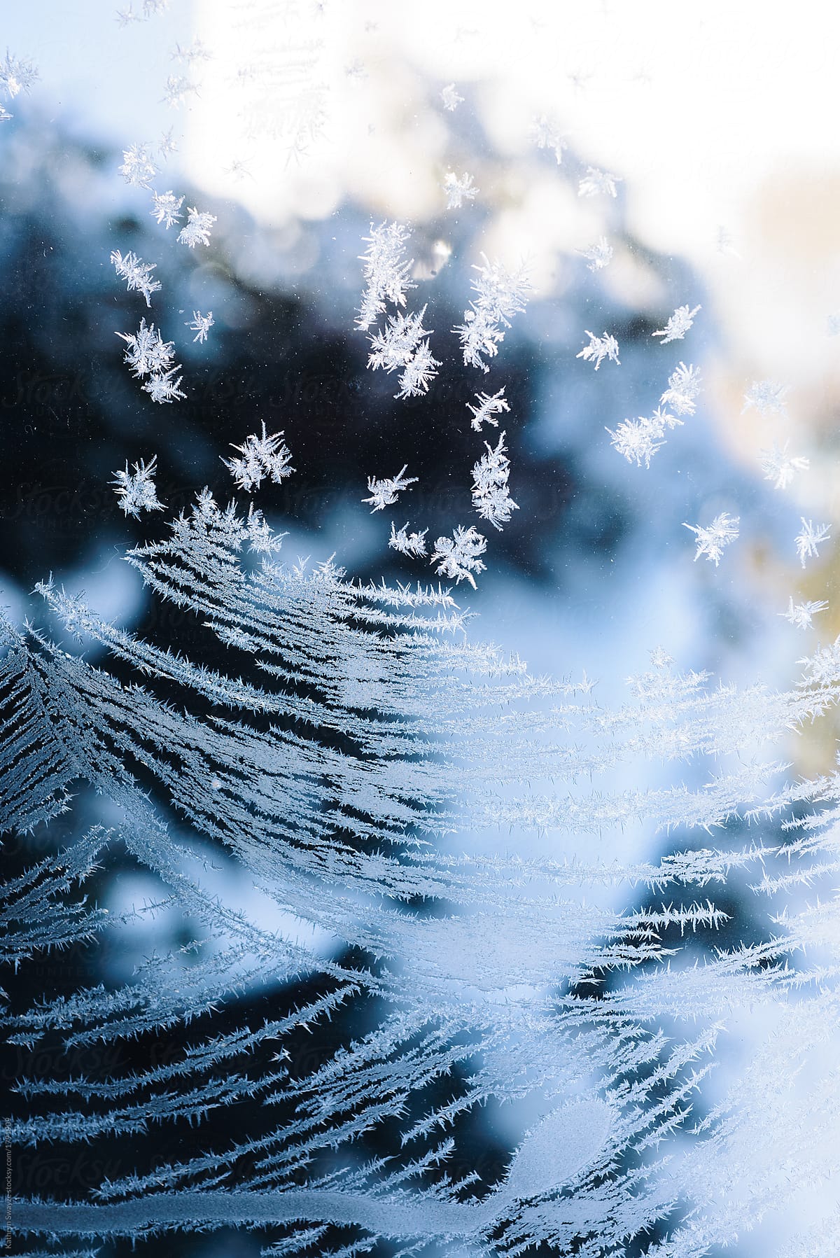 "Beautiful Frost Macro" by Stocksy Contributor "Kathryn Swayze" - Stocksy