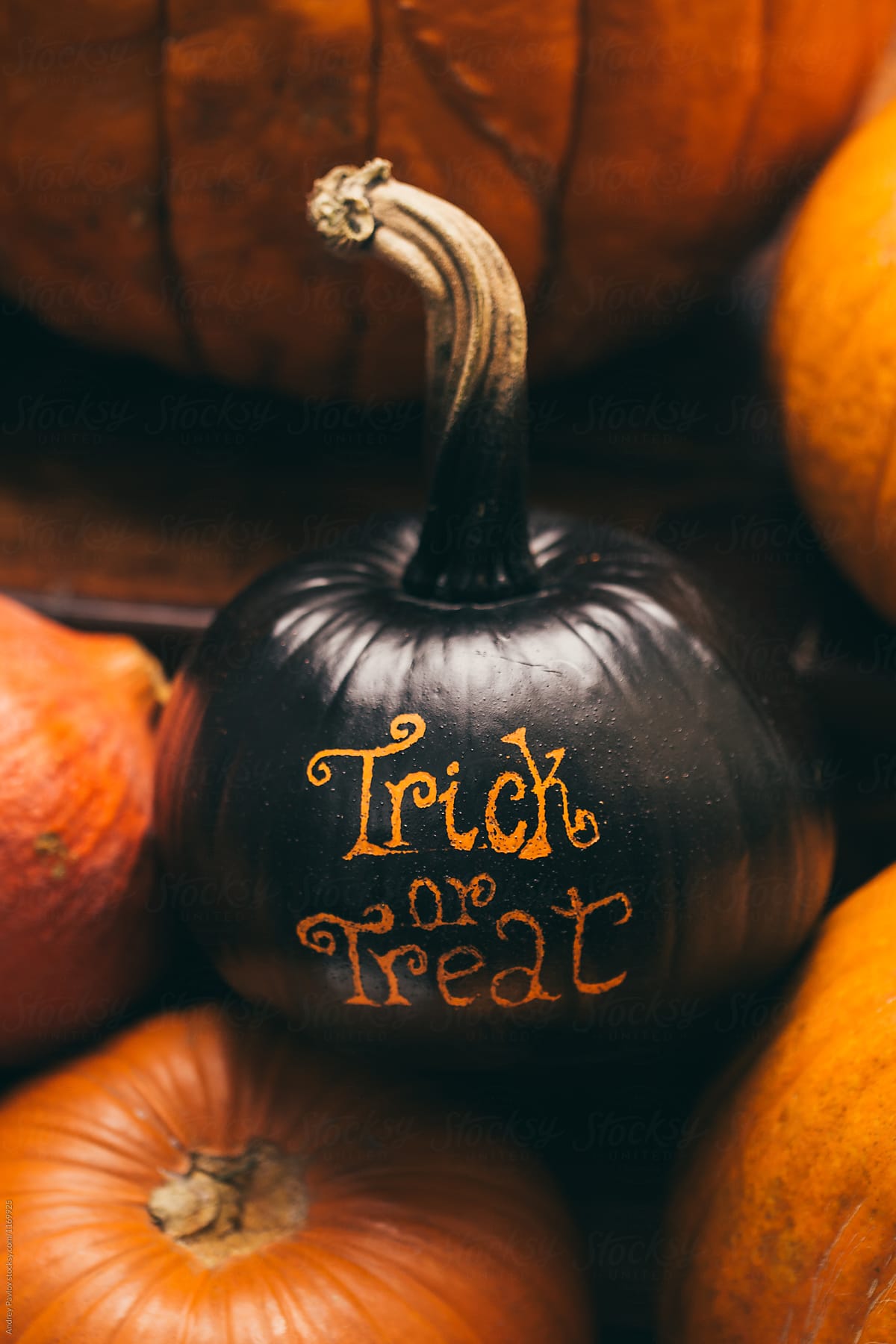 "Close Up Of Black Decorated Halloween Pumpkin." by Stocksy Contributor ...