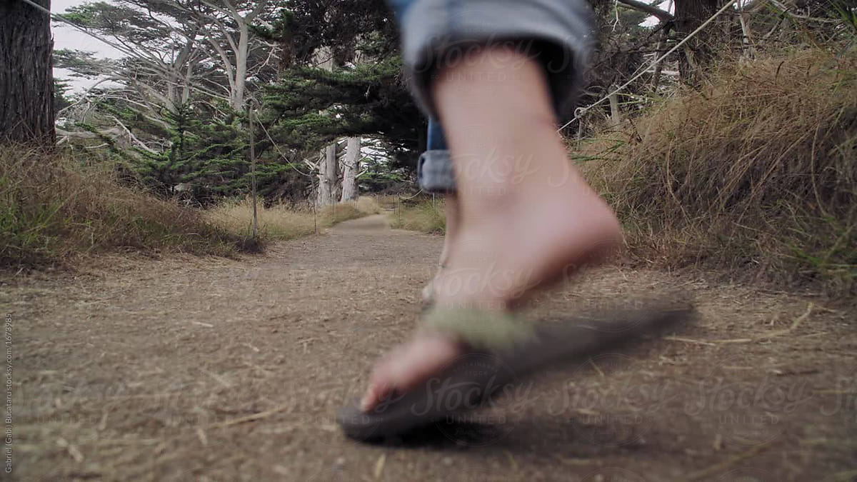 "Woman's Feet Walking On A Nature Trail In A Cypress Forest" by Stocksy ...