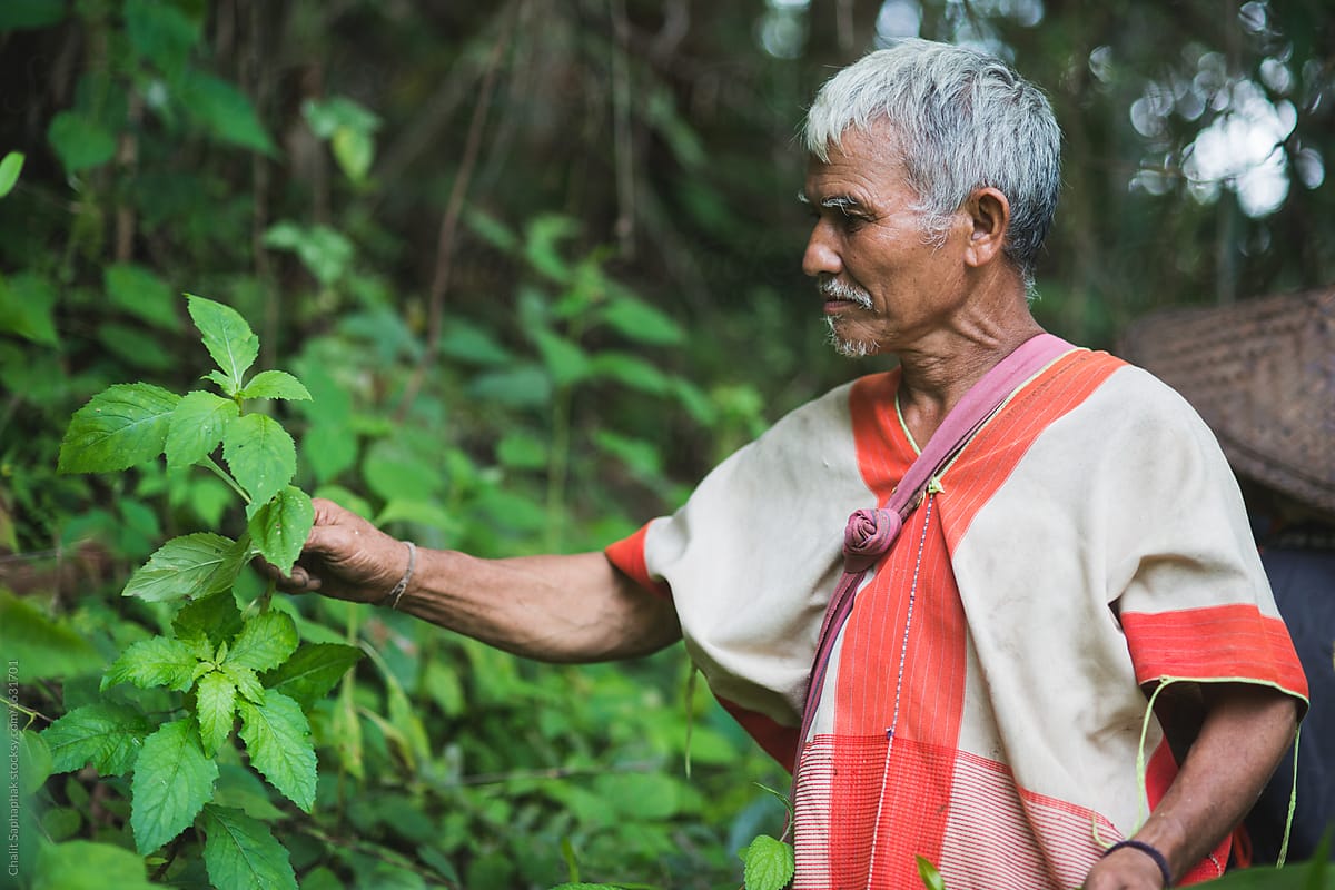 "Karen People In His Vegetable Garden" by Stocksy Contributor "Chalit ...
