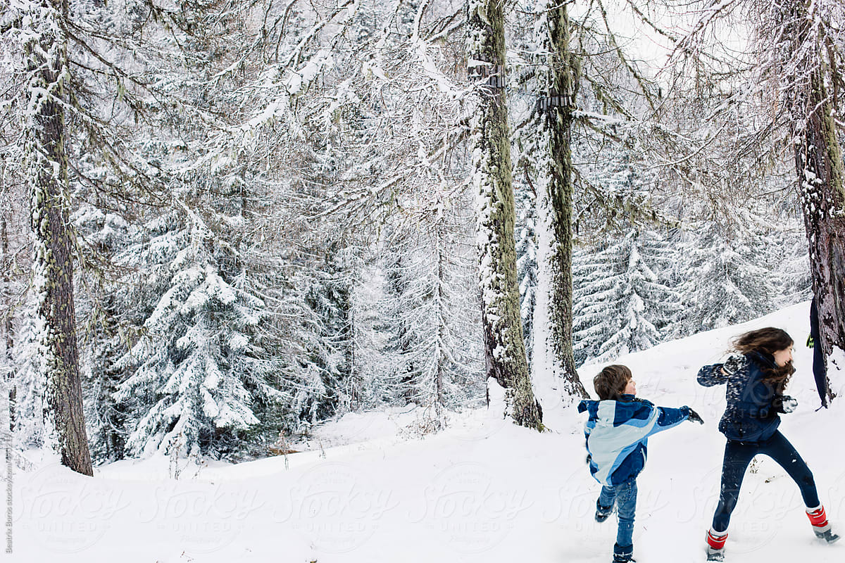 "Siblings Snowball Fighting In The Nature In Winter" by Stocksy ...