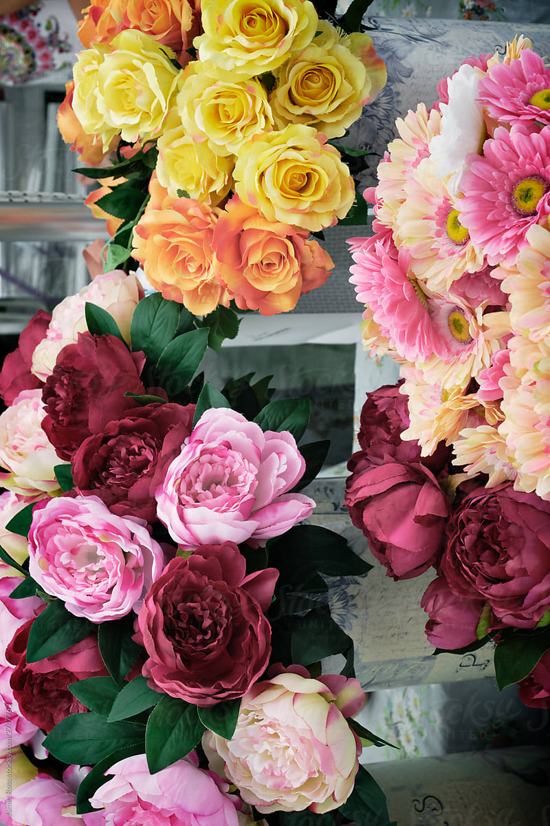 "Fake Flowers" by Stocksy Contributor "James Ross" - Stocksy