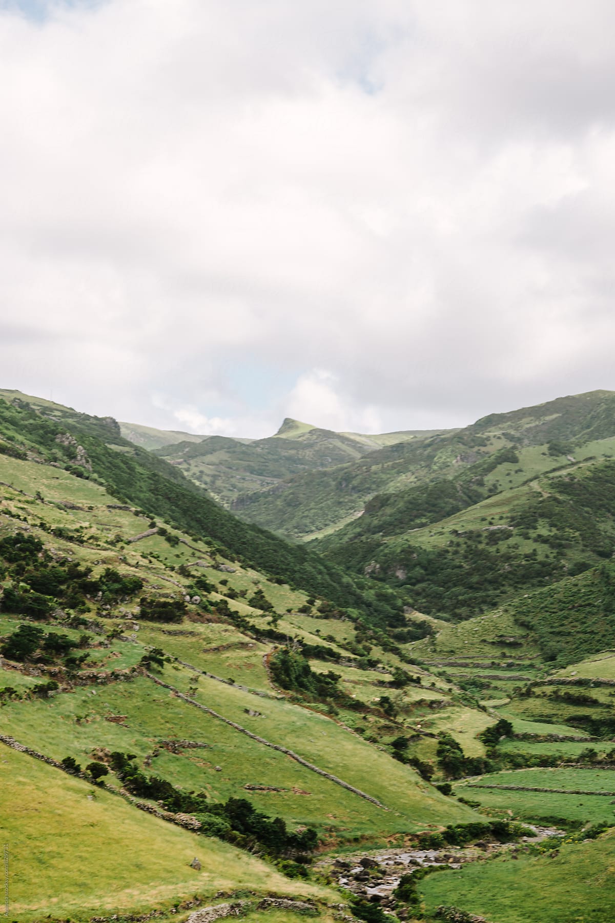 "Azores Landscape" by Stocksy Contributor "Agencia" - Stocksy