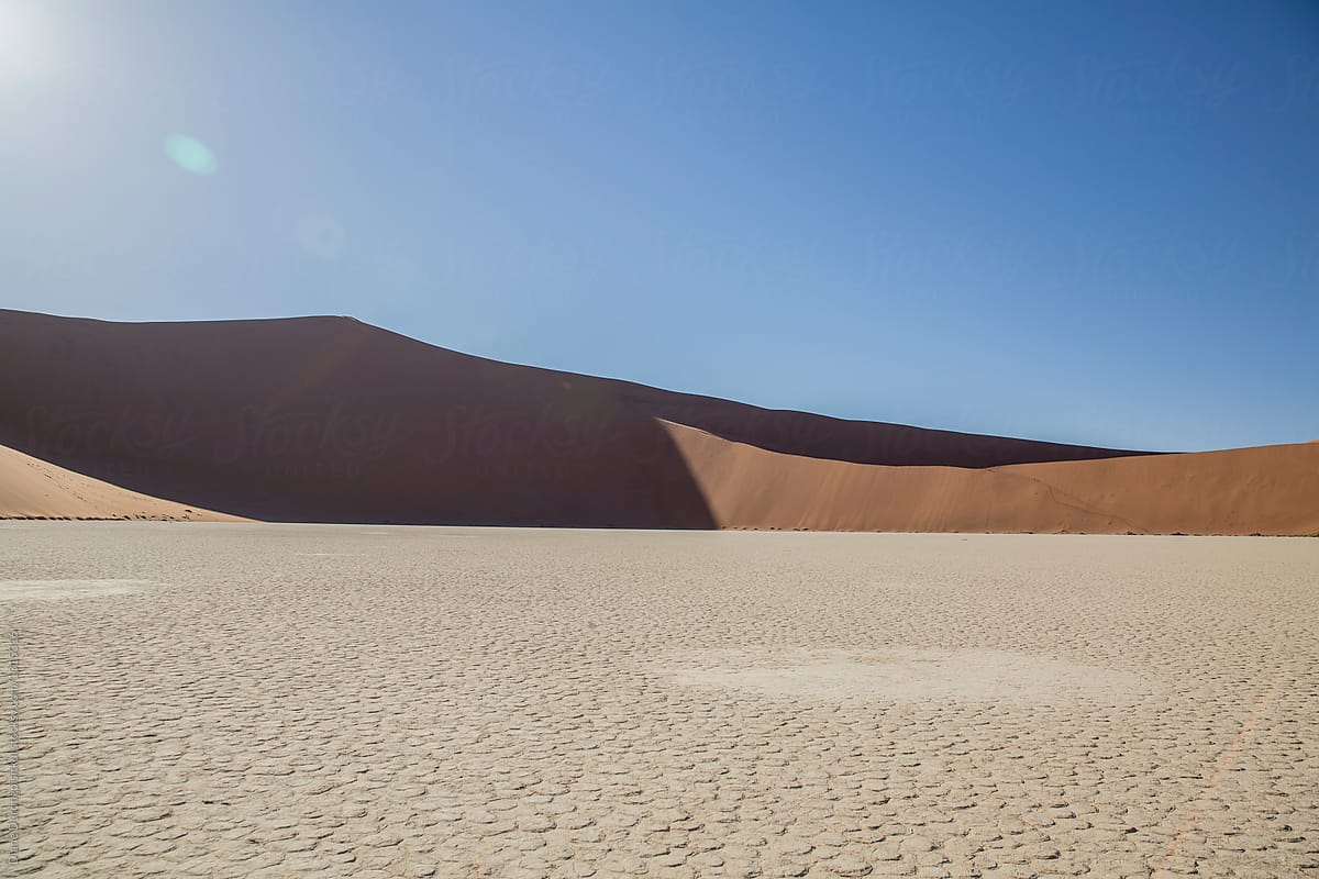 "Desert Heat" by Stocksy Contributor "Diane Durongpisitkul" - Stocksy
