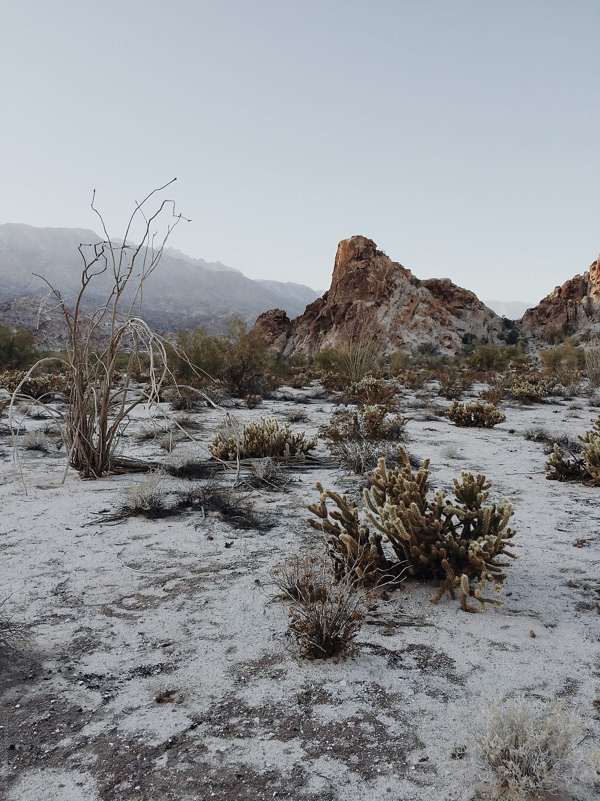 "Dusk In The Desert" by Stocksy Contributor "Kevin Russ" - Stocksy