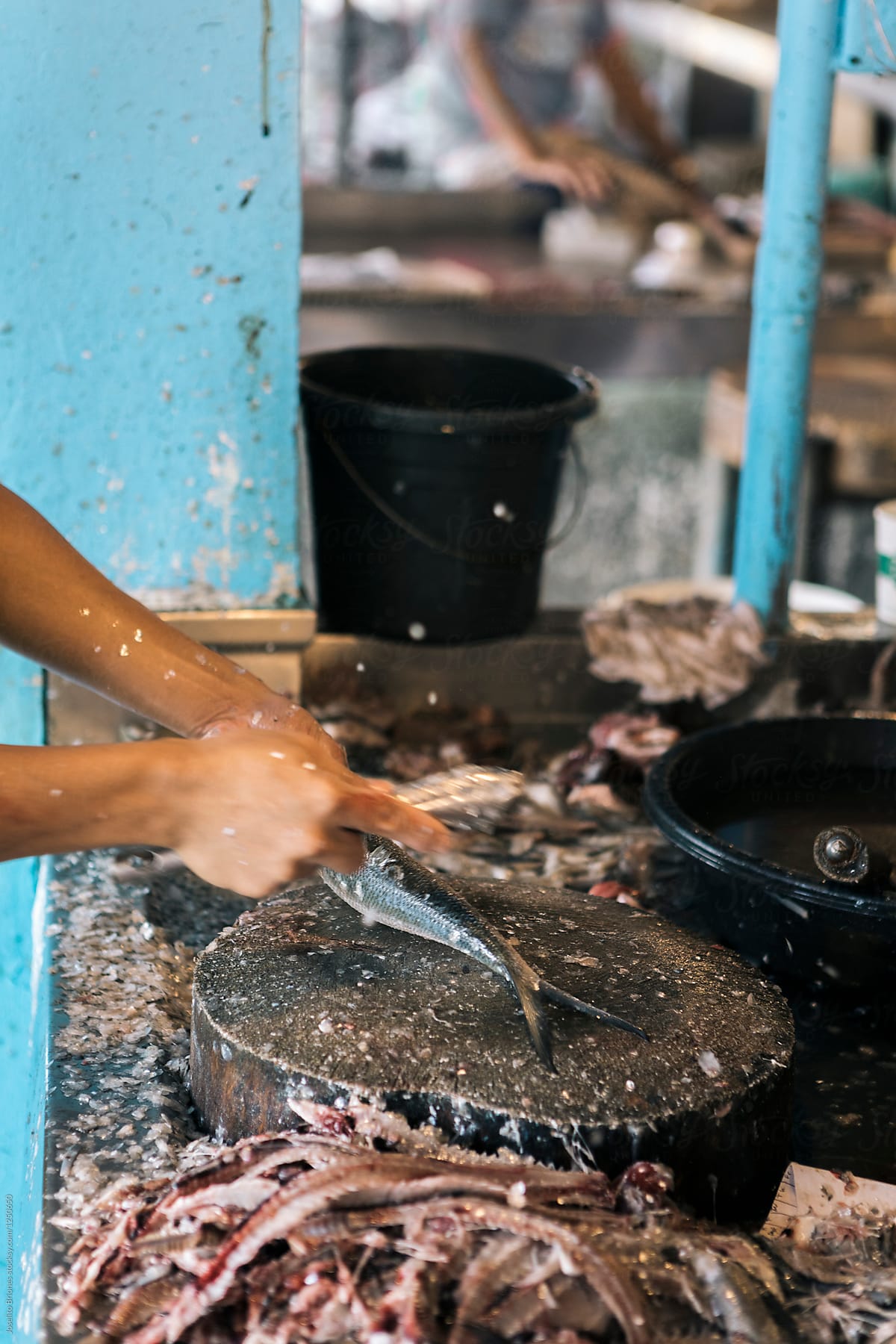 "Fishmonger Deboning And Descaling Milkfish Or Bangus In A Market In ...