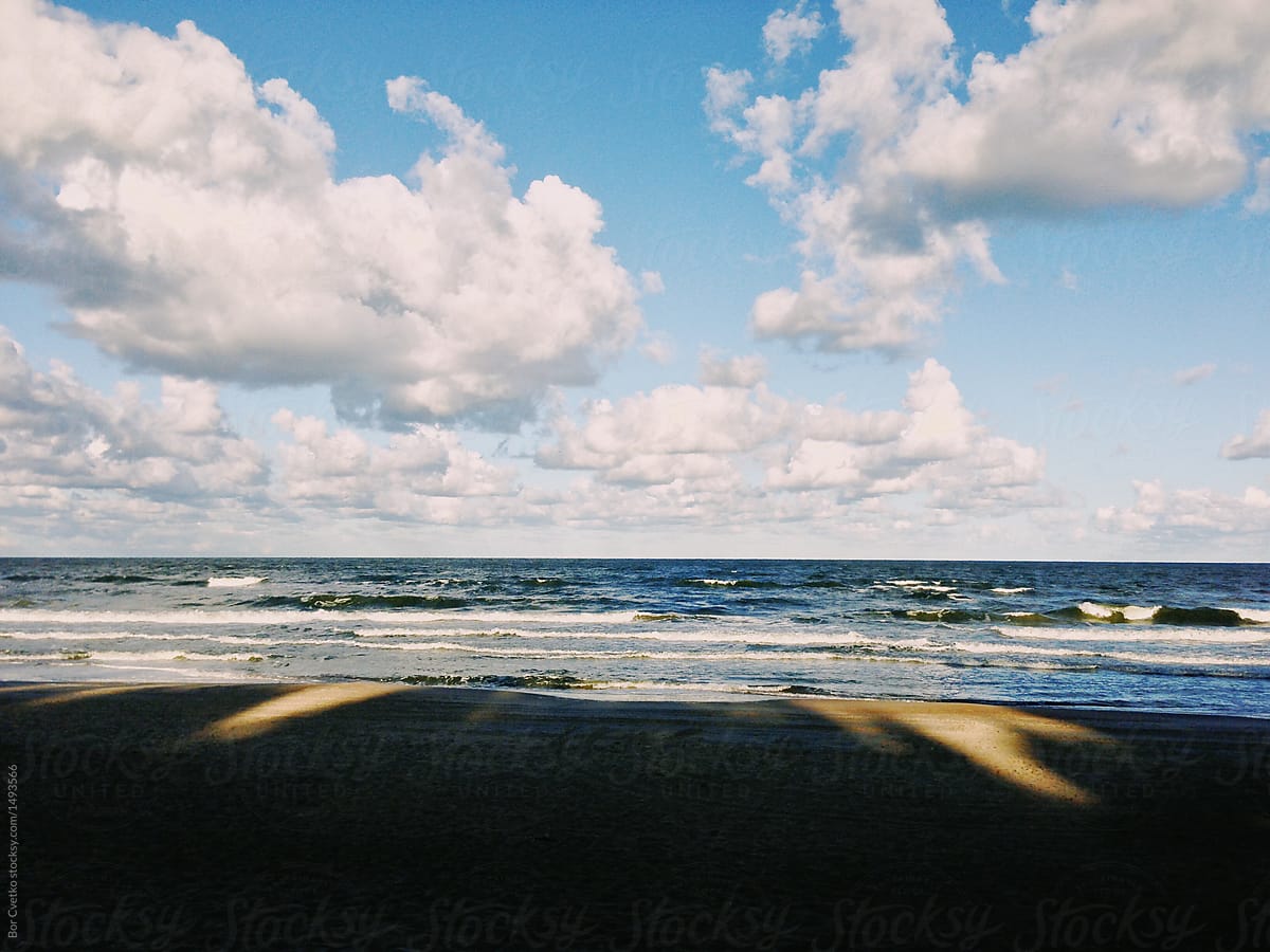 "Morning Light On A Beach" by Stocksy Contributor "Bor Cvetko" - Stocksy