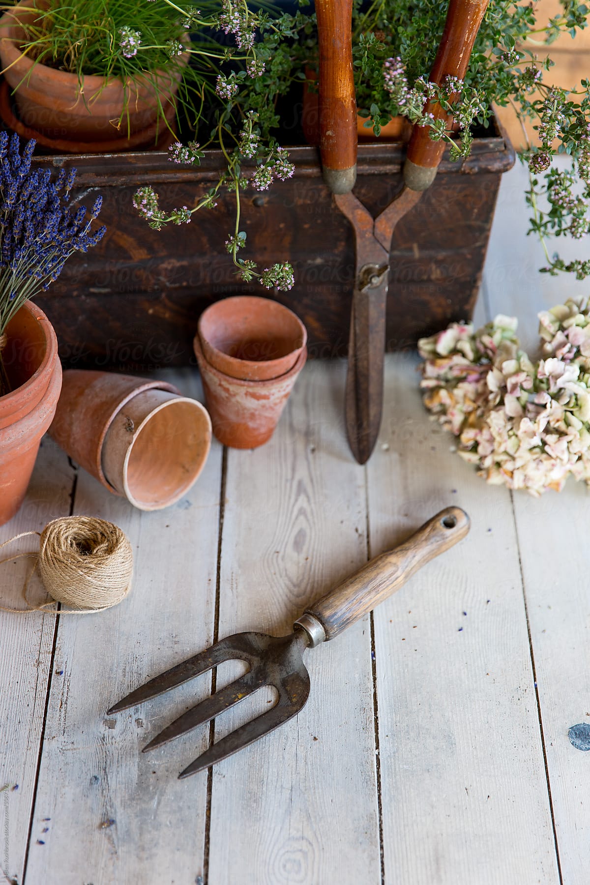 "Vintage Gardening Tools, Plant Pots And Metal Chest." by Stocksy ...