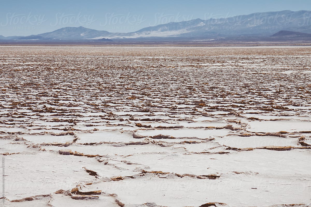 "Salt Desert" by Stocksy Contributor "Michela Ravasio" - Stocksy