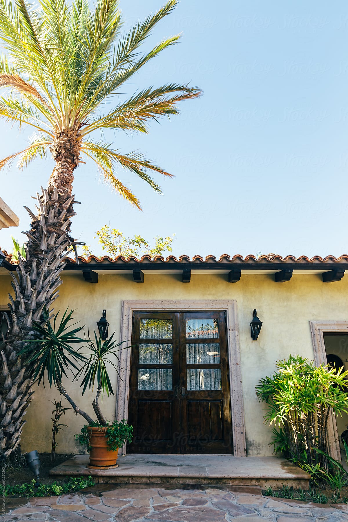 "Double Door Entrance And Palm Tree At Mexcian Hacienda" by Stocksy ...