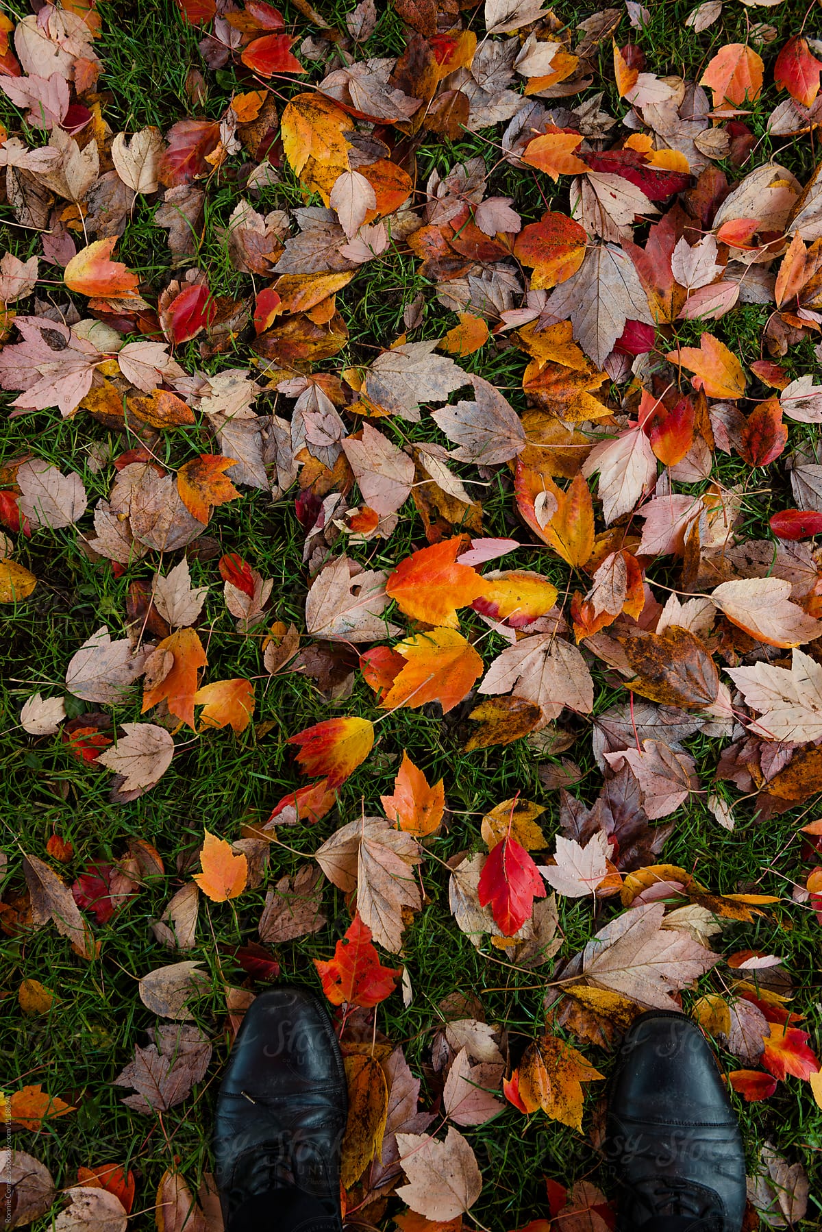 "Fall Foliage And Feet" by Stocksy Contributor "Ronnie Comeau" - Stocksy