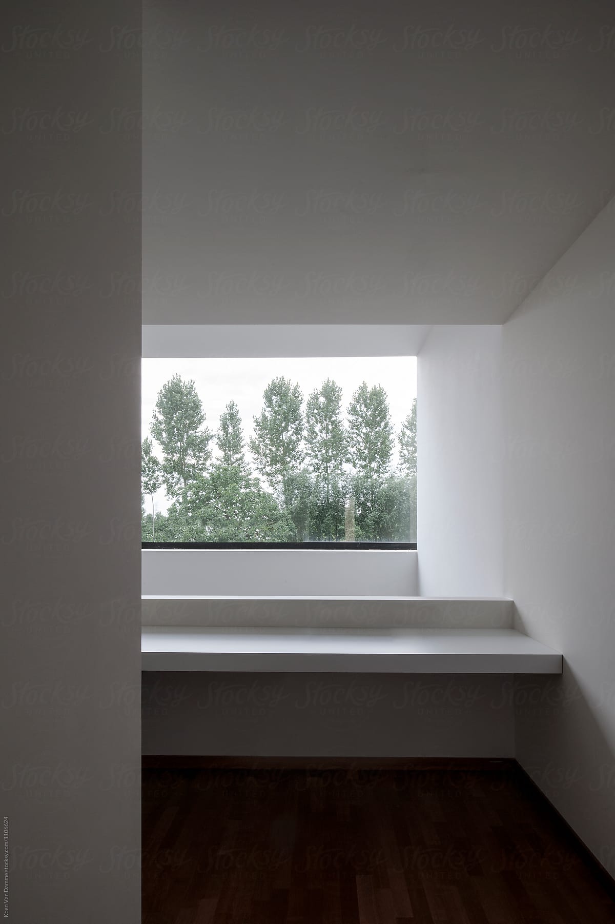 "Outside View With Trees" by Stocksy Contributor "Koen Van Damme ...