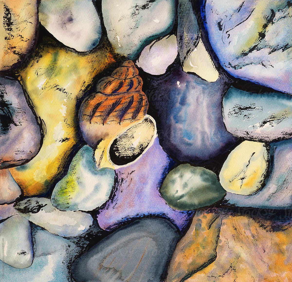"A Watercolour And Ink Painting - Shell With Pebbles" by Stocksy ...