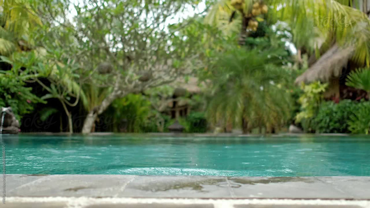 "Woman Emerges From Water In A Pool" by Stocksy Contributor "Nikita ...