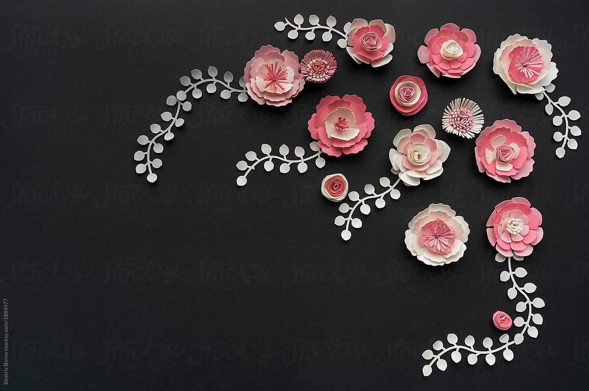 "Paper Flowers Arranged On Black" by Stocksy Contributor "Beatrix Boros ...