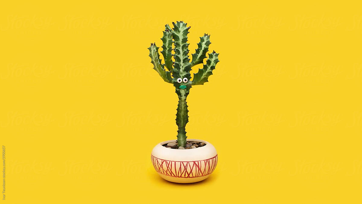 "Anthropomorphic Cactus Stopmotion Animation" by Stocksy Contributor ...