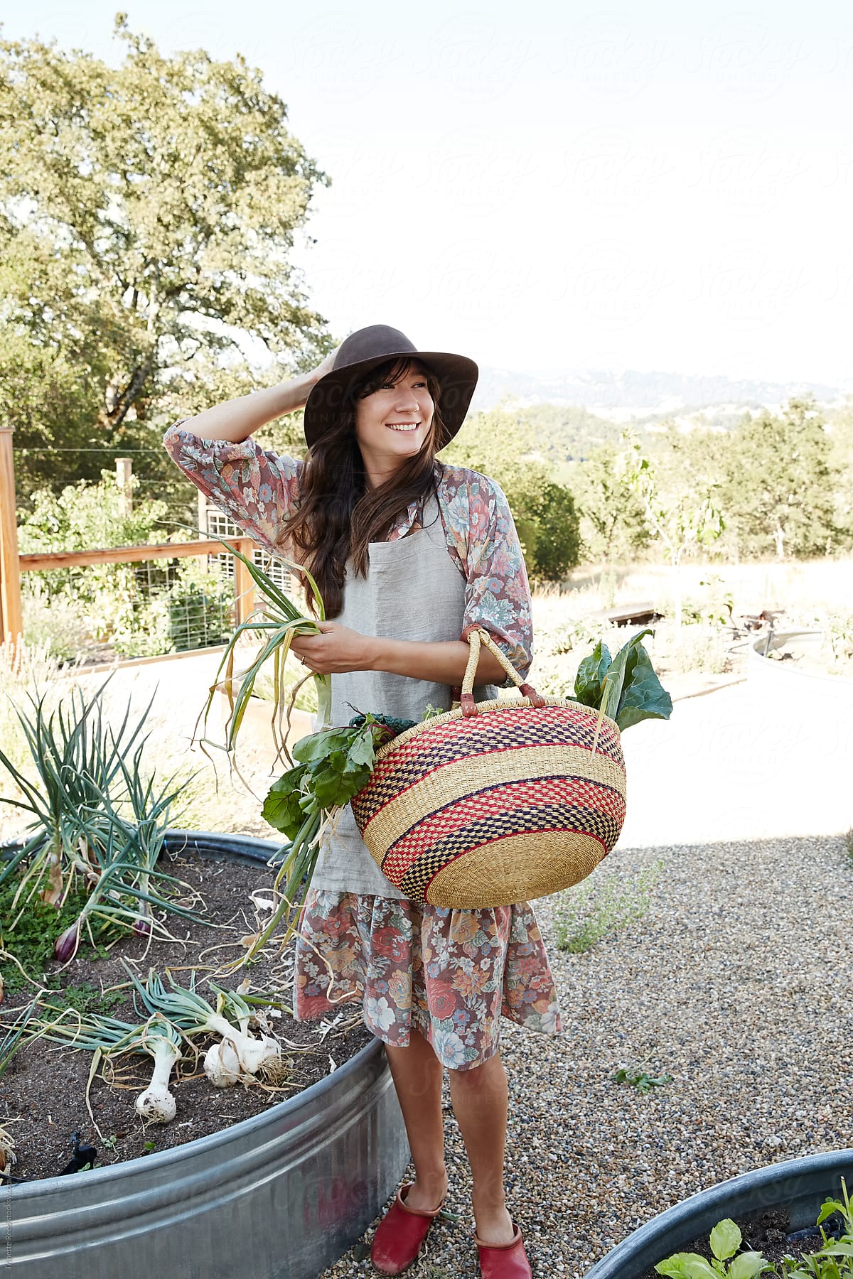 "Woman Gardening In Her Backyard Vegetable Garden" by Stocksy ...