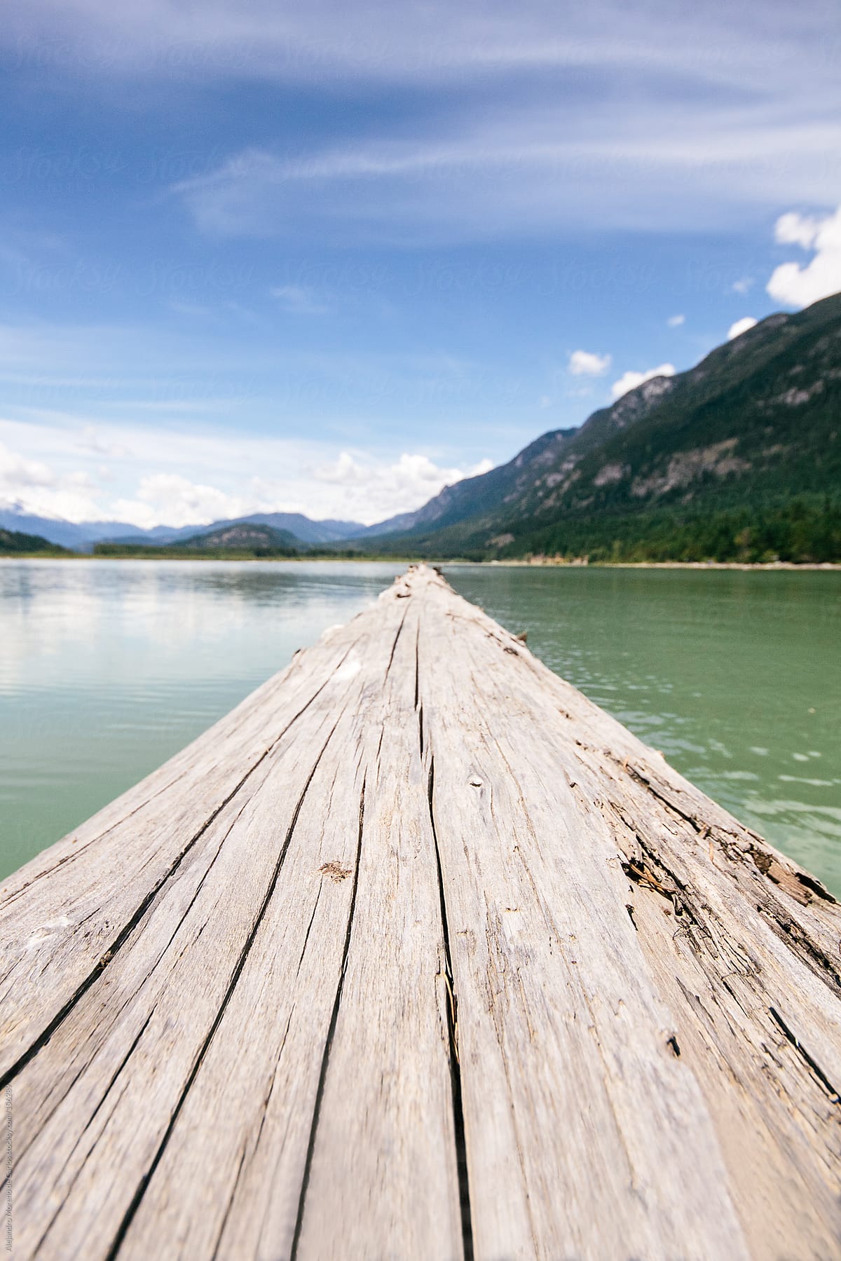 "Floating Log On A Lake On Summer With Mountains" by Stocksy ...