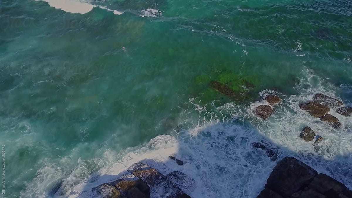 "Ocean Swimmer" by Stocksy Contributor "Gillian Vann" - Stocksy