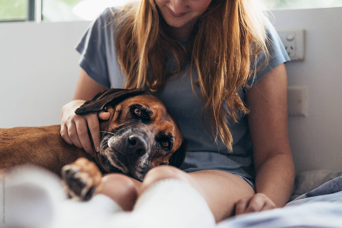 "Affectionate Dog" by Stocksy Contributor "Gillian Vann" - Stocksy