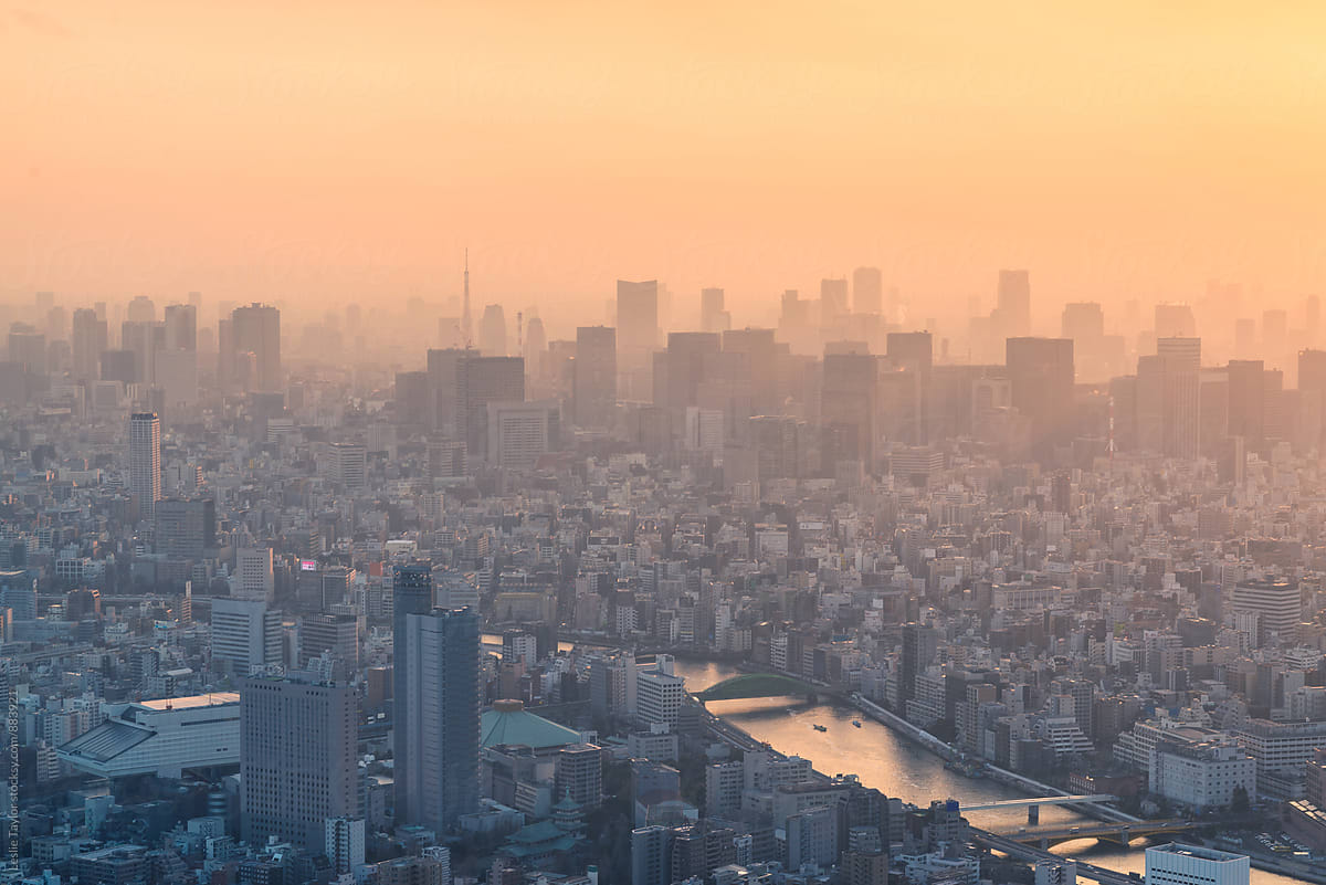 "Colorful Haze In The Concrete Jungle" by Stocksy Contributor "Leslie ...