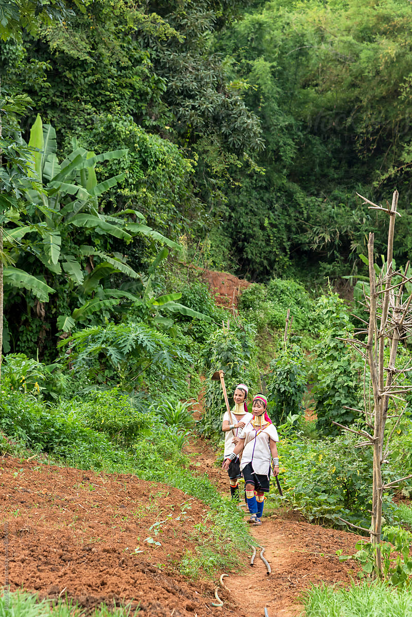 "Long Neck Tribal Woman Working In The Garden" by Stocksy Contributor ...