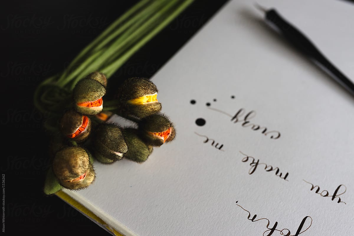 "Orange Poppies On A Calligraphy Note" by Stocksy Contributor "Alison ...