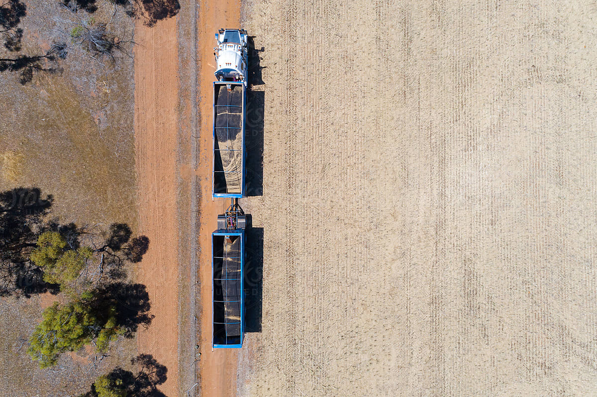"Grain Bins And Semi Trailers Waiting To Be Loaded With Canola Seed" by ...