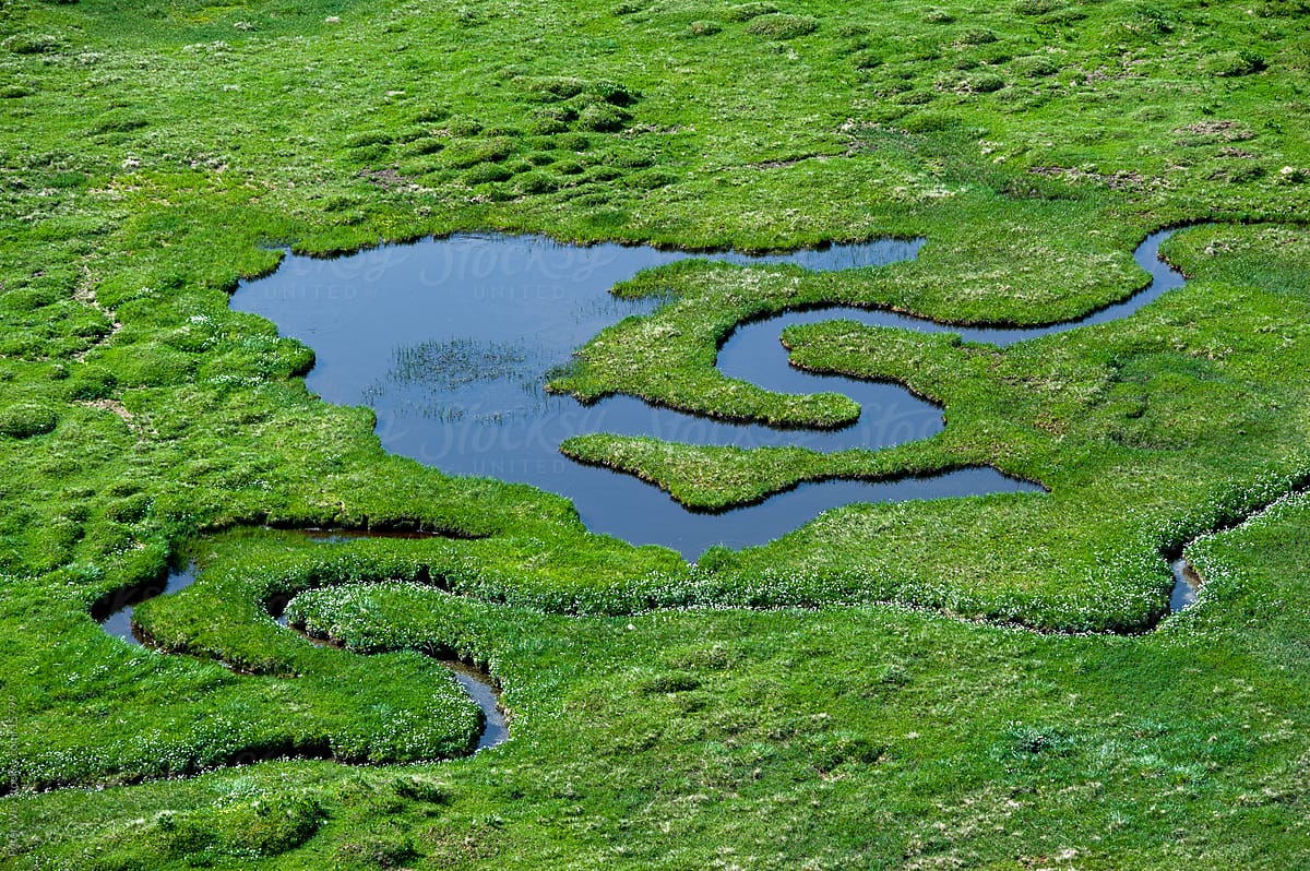 "Meandering River" by Stocksy Contributor "Peter Wey" - Stocksy