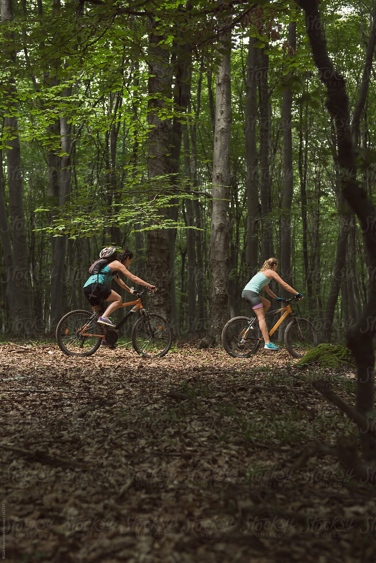 "Female Riders On Mountain Bikes Through The Forest In Summer" by ...