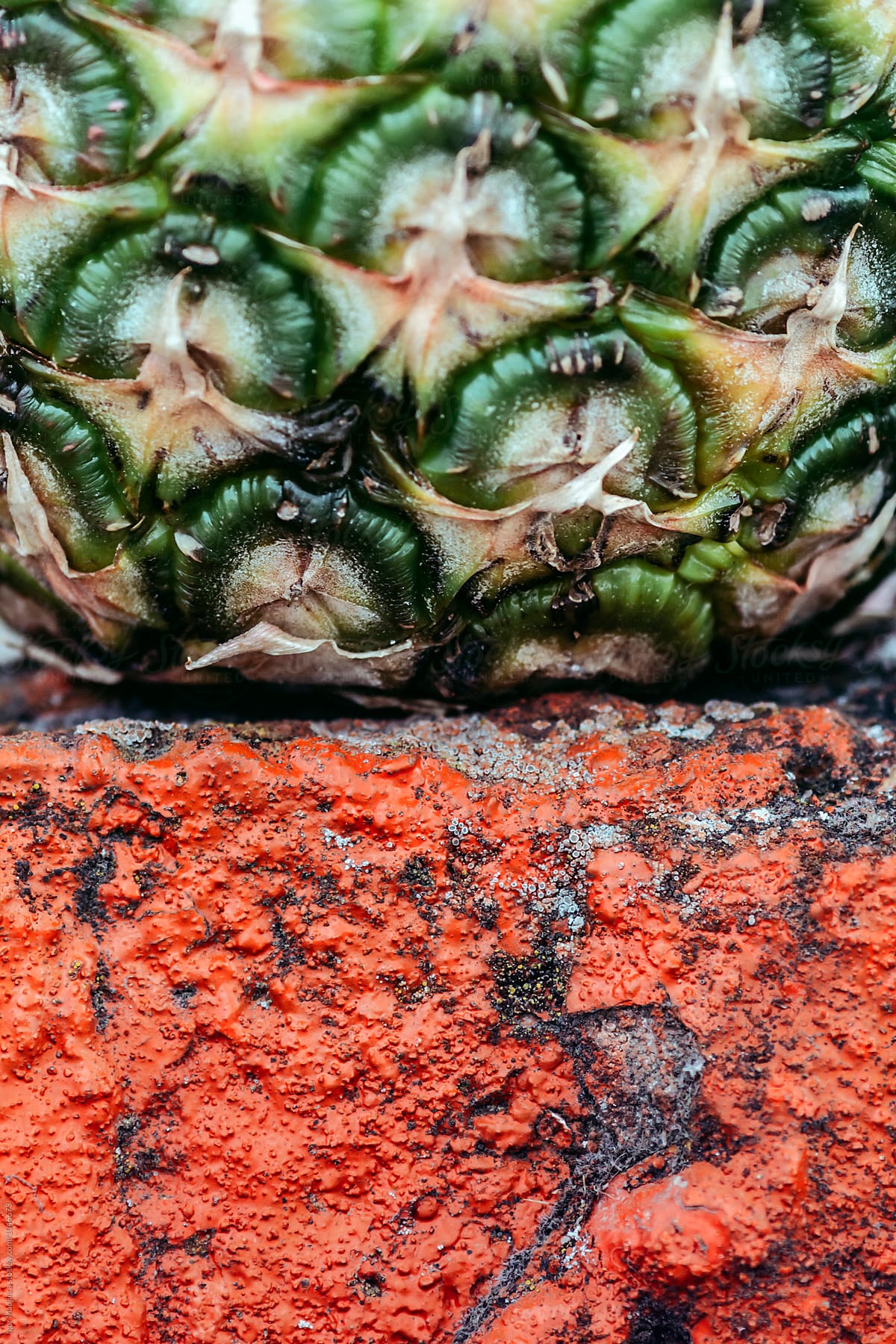 "Fresh Pineapple Vs Red Painted Stone" by Stocksy Contributor "Igor ...