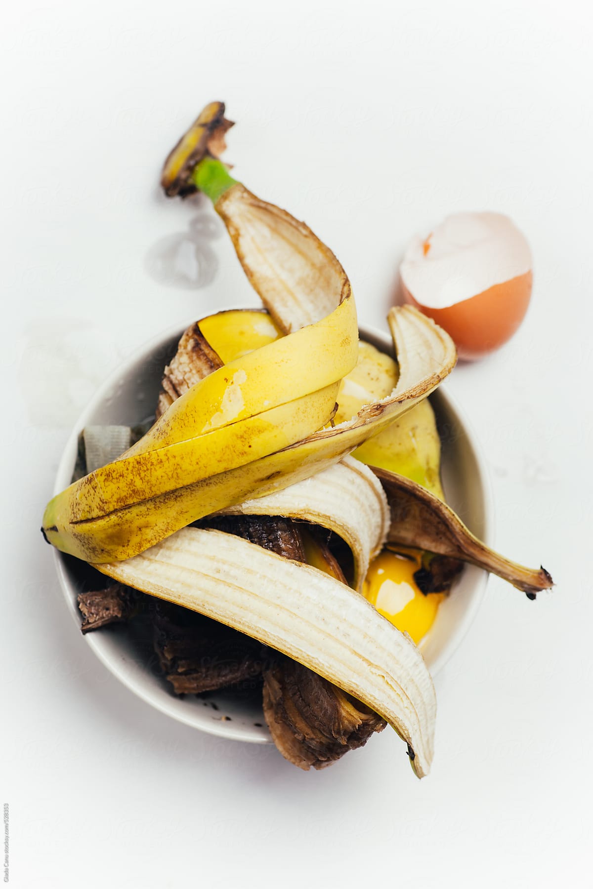  Wet Waste By Stocksy Contributor Giada Canu Stocksy