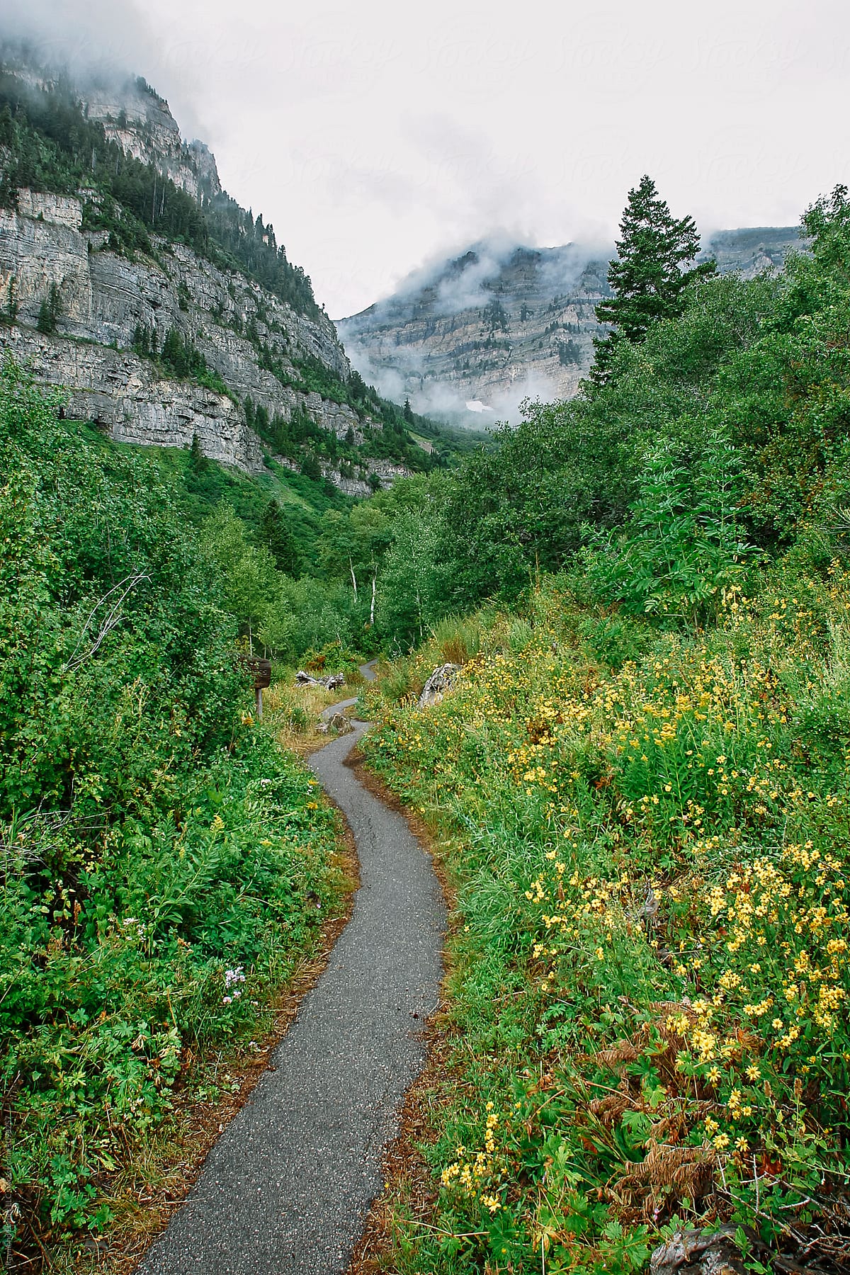 "Hiking Trail In Wasatch Mountain Range" by Stocksy Contributor ...