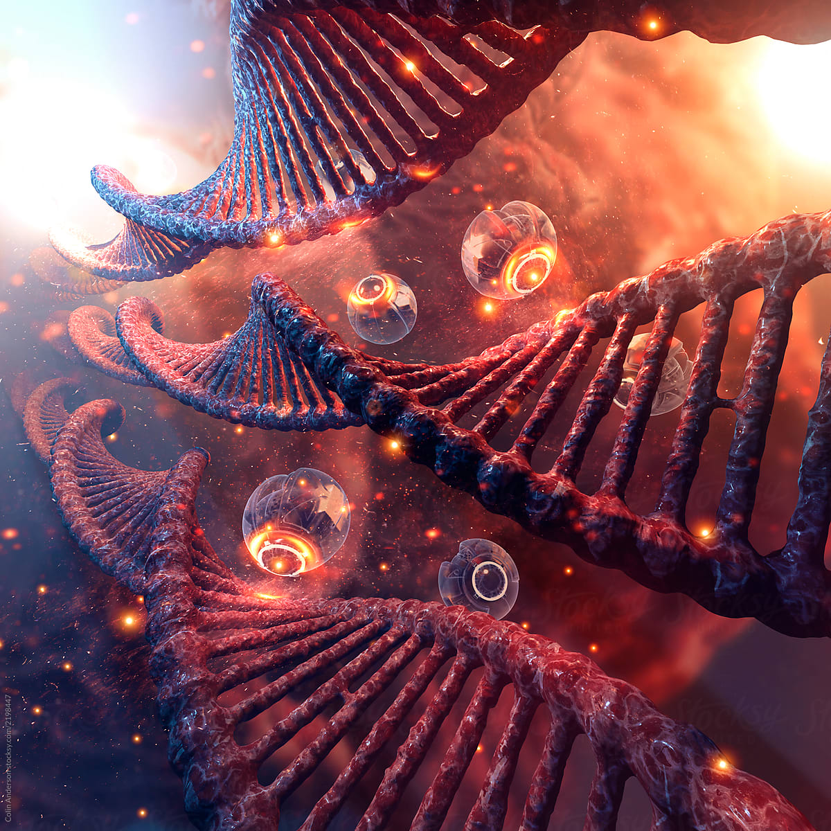 Genetic Engineering By Stocksy Contributor Colin Anderson Stocksy Genetic Engineering By Stocksy Contributor Colin Anderson Stocksy