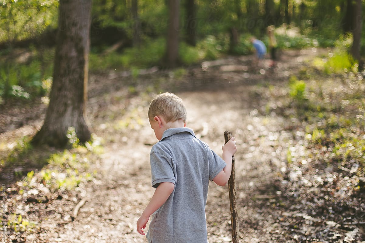 "Young Boy Holding Walking Stick Looks Down At Nature Trail" by Stocksy ...