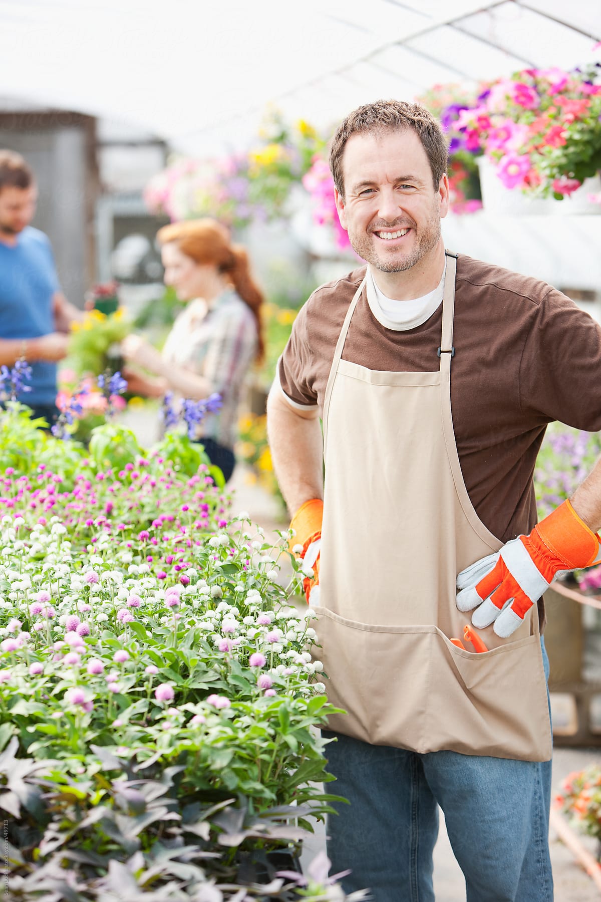 "Nursery: Cheerful Grower In Greenhouse" by Stocksy Contributor "Sean ...