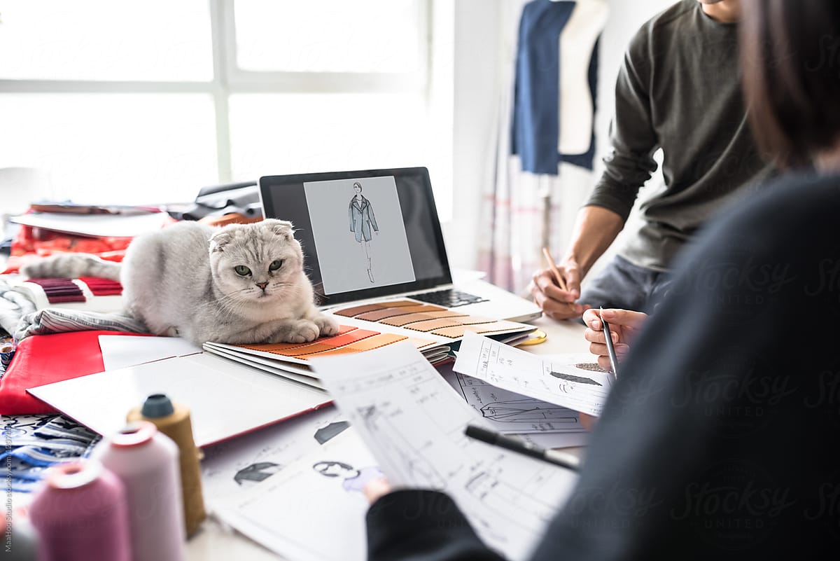 "Design Professional Working In Studio" by Stocksy Contributor "MaaHoo ...