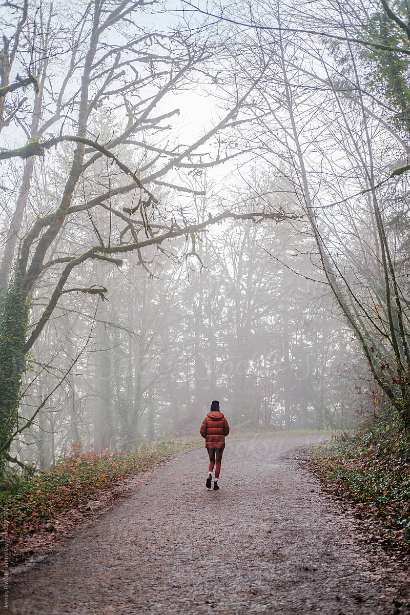 "Forest Park Portland, Oregon" by Stocksy Contributor "J. Anthony ...