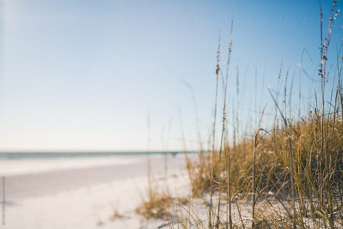 "Dune Grass With Empty Beach." by Stocksy Contributor "RZCREATIVE ...