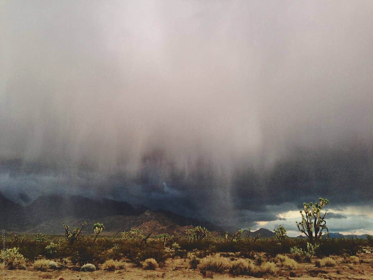 "Desert Rain" by Stocksy Contributor "Kevin Russ" - Stocksy