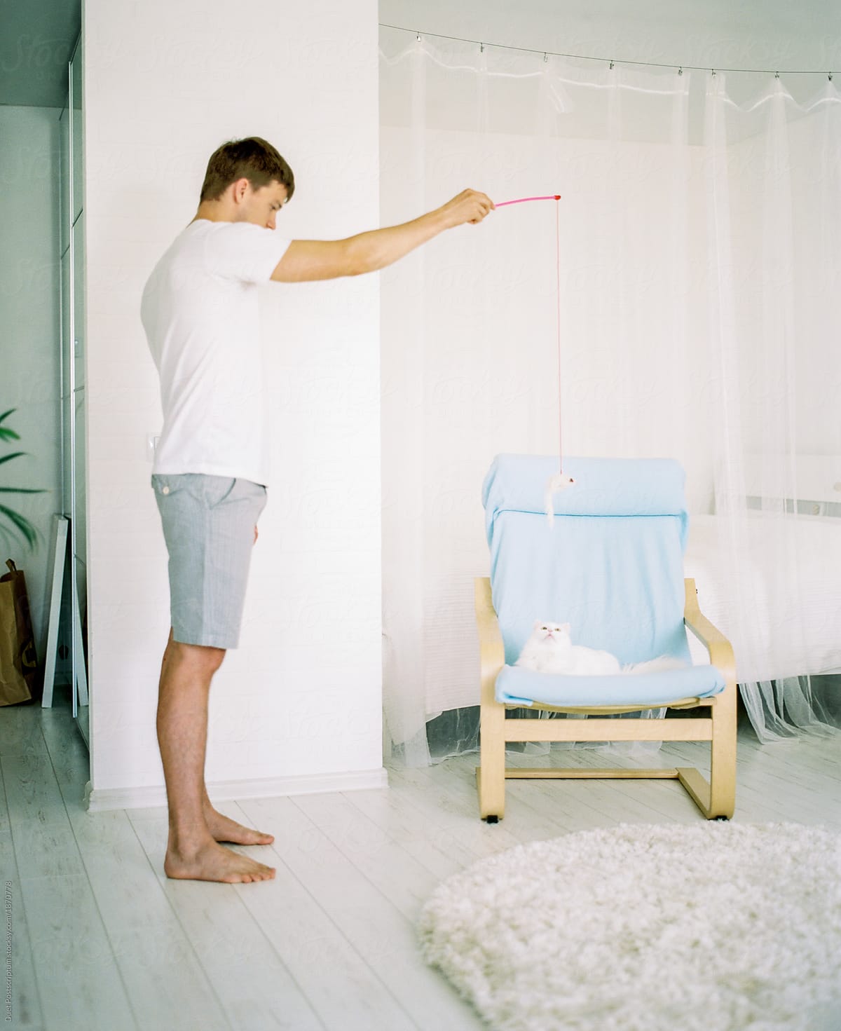 "Man Playing With Cat At Home" by Stocksy Contributor "Duet ...