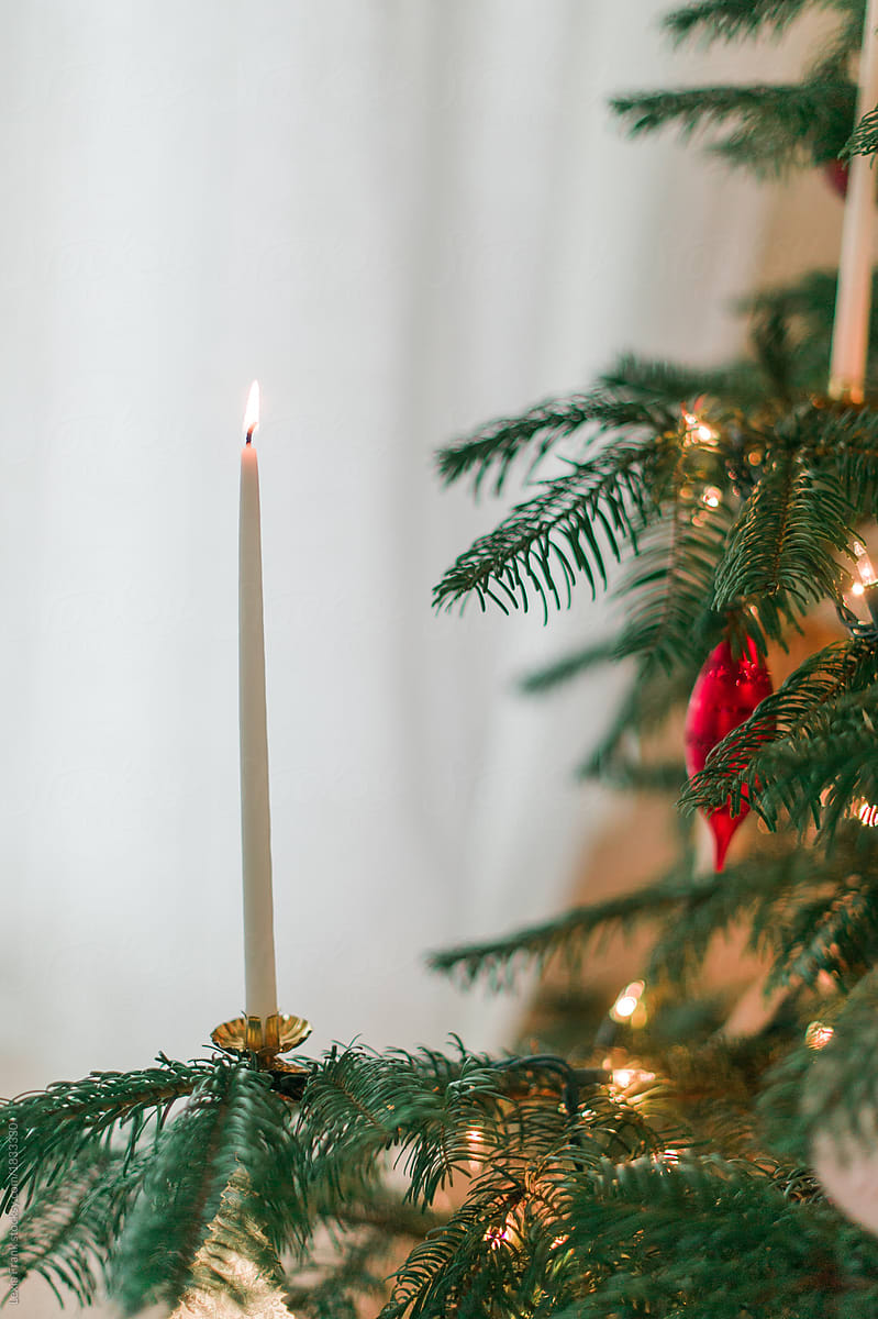"Traditional Decorations On A Christmas Tree" by Stocksy Contributor ...