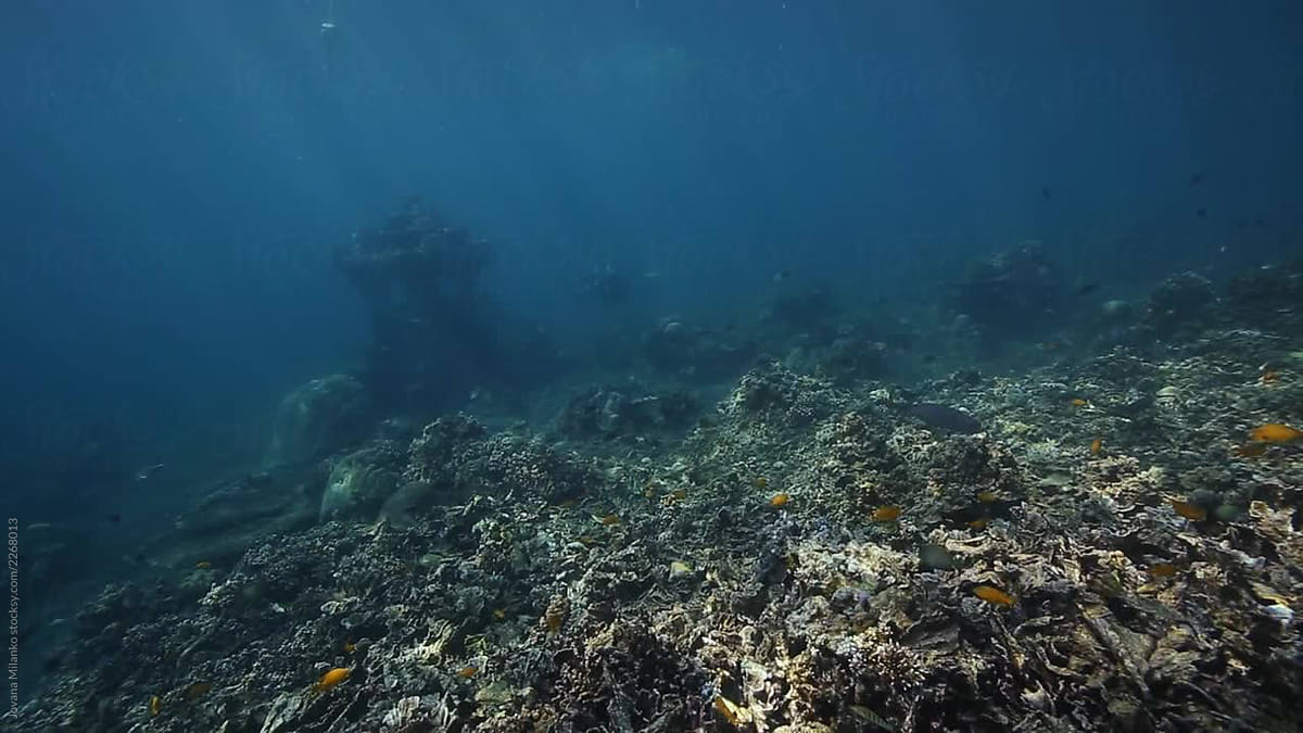 "Underwater Temple" by Stocksy Contributor "Jovana Milanko" - Stocksy