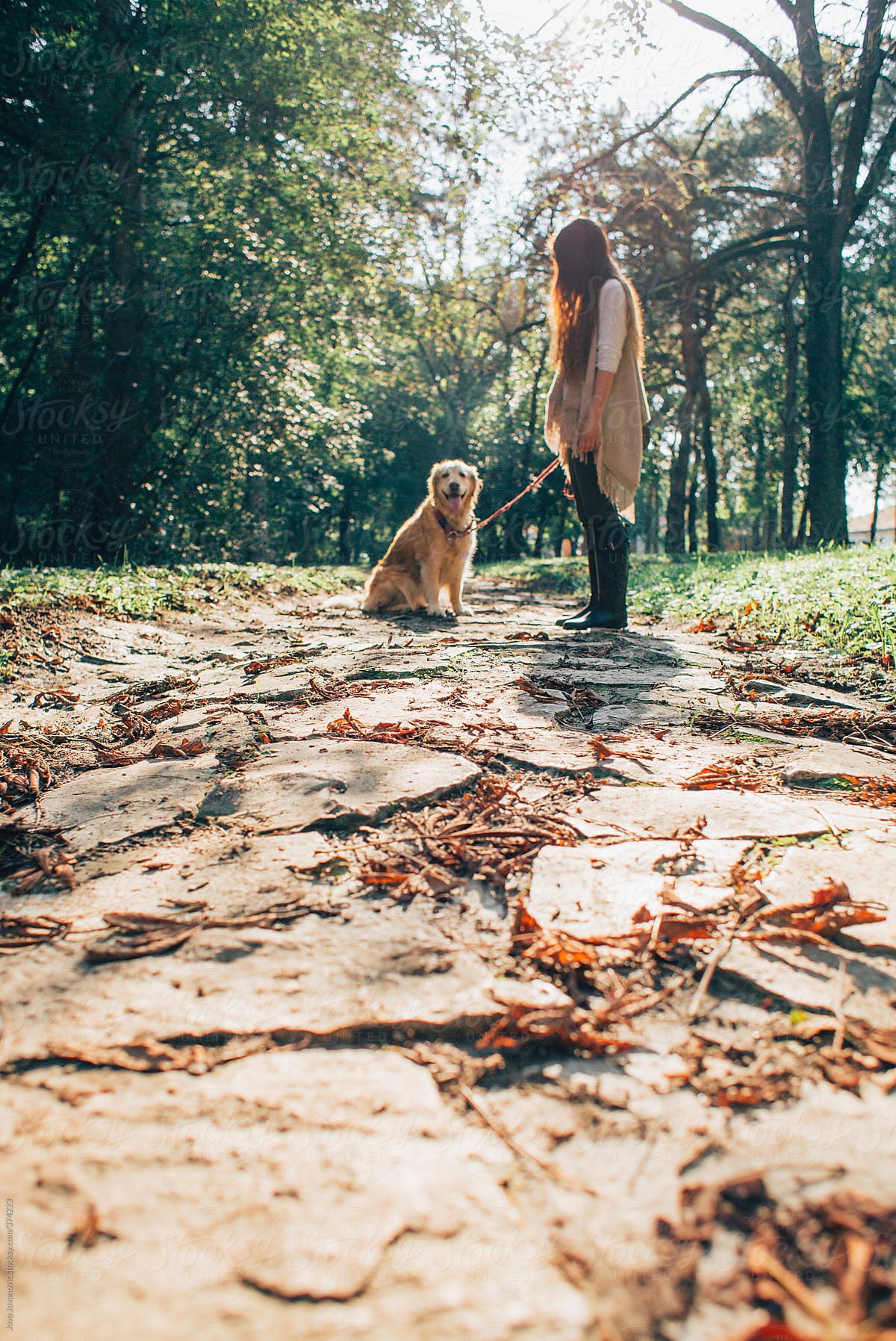 "Woman And Her Dog Yellow Labrador Retriever" by Stocksy Contributor ...